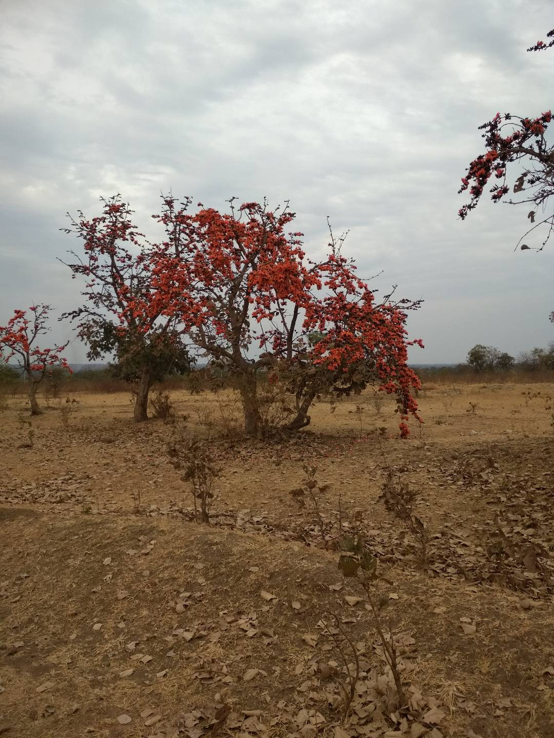 Anahad – An Avartansheel Ecosystem